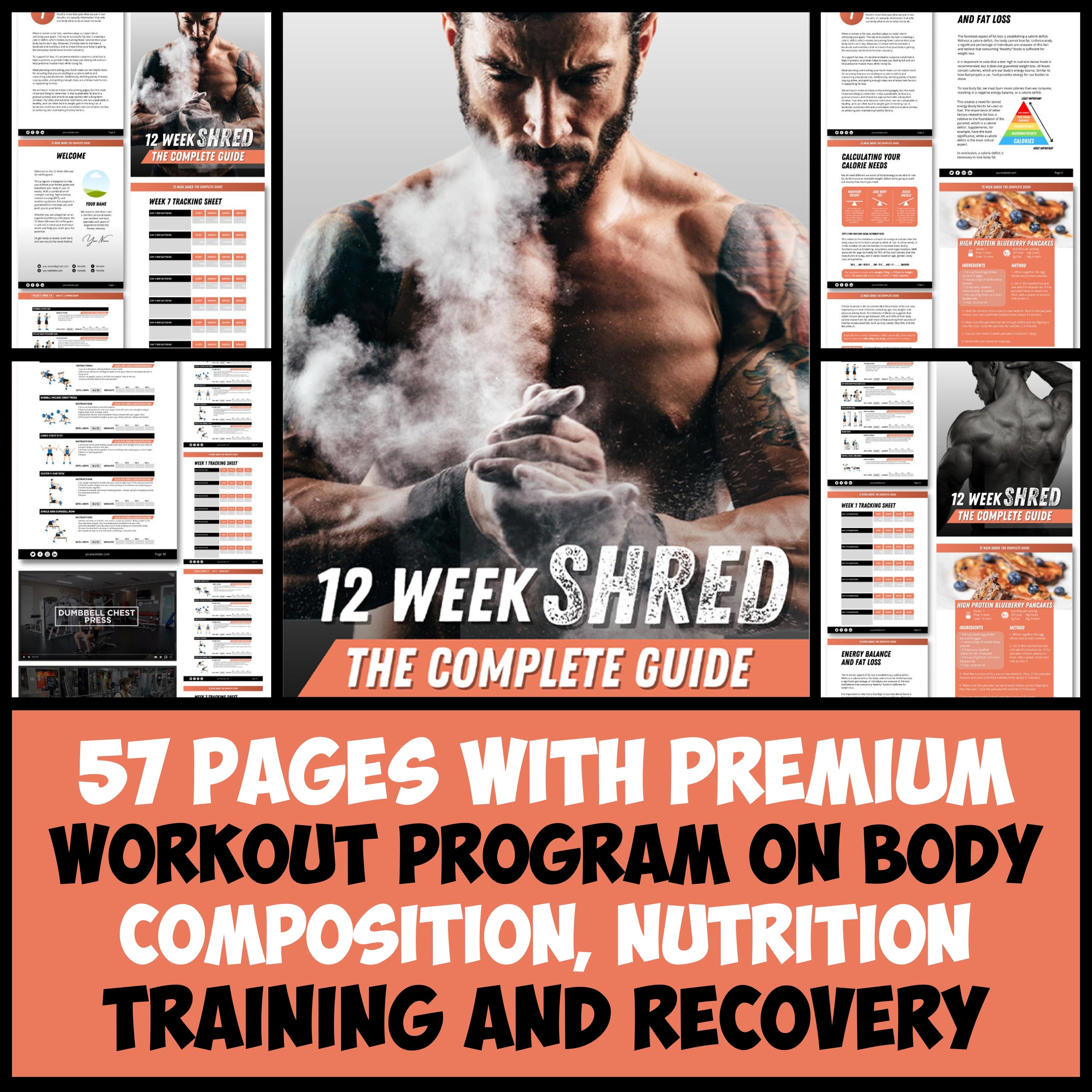 12 Week Shred Program - The Complete Guide – Marioxy Digitals